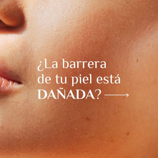 TUPI S.A. - CREMA FACIAL EXEL CON FITOCERAMIDAS HIDRATANTE GREEN LINE ... TUPI S.A. - CREMA FACIAL EXEL CON FITOCERAMIDAS HIDRATANTE GREEN LINE ...