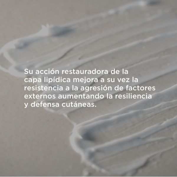 TUPI S.A. - CREMA FACIAL EXEL CON FITOCERAMIDAS HIDRATANTE GREEN LINE ... TUPI S.A. - CREMA FACIAL EXEL CON FITOCERAMIDAS HIDRATANTE GREEN LINE ...